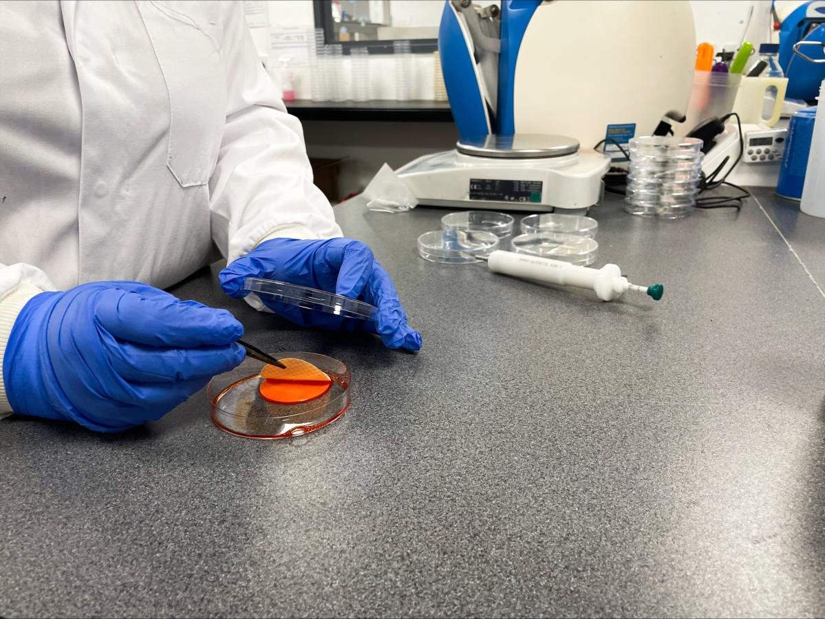 Comprehensive Microbiological Food Safety Testing Services | Expert ...