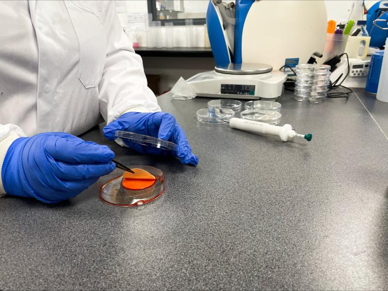 Comprehensive Microbiological Food Safety Testing Services | Expert ...